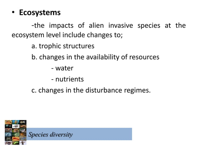 Species diversity | PPTX | Geography | Science