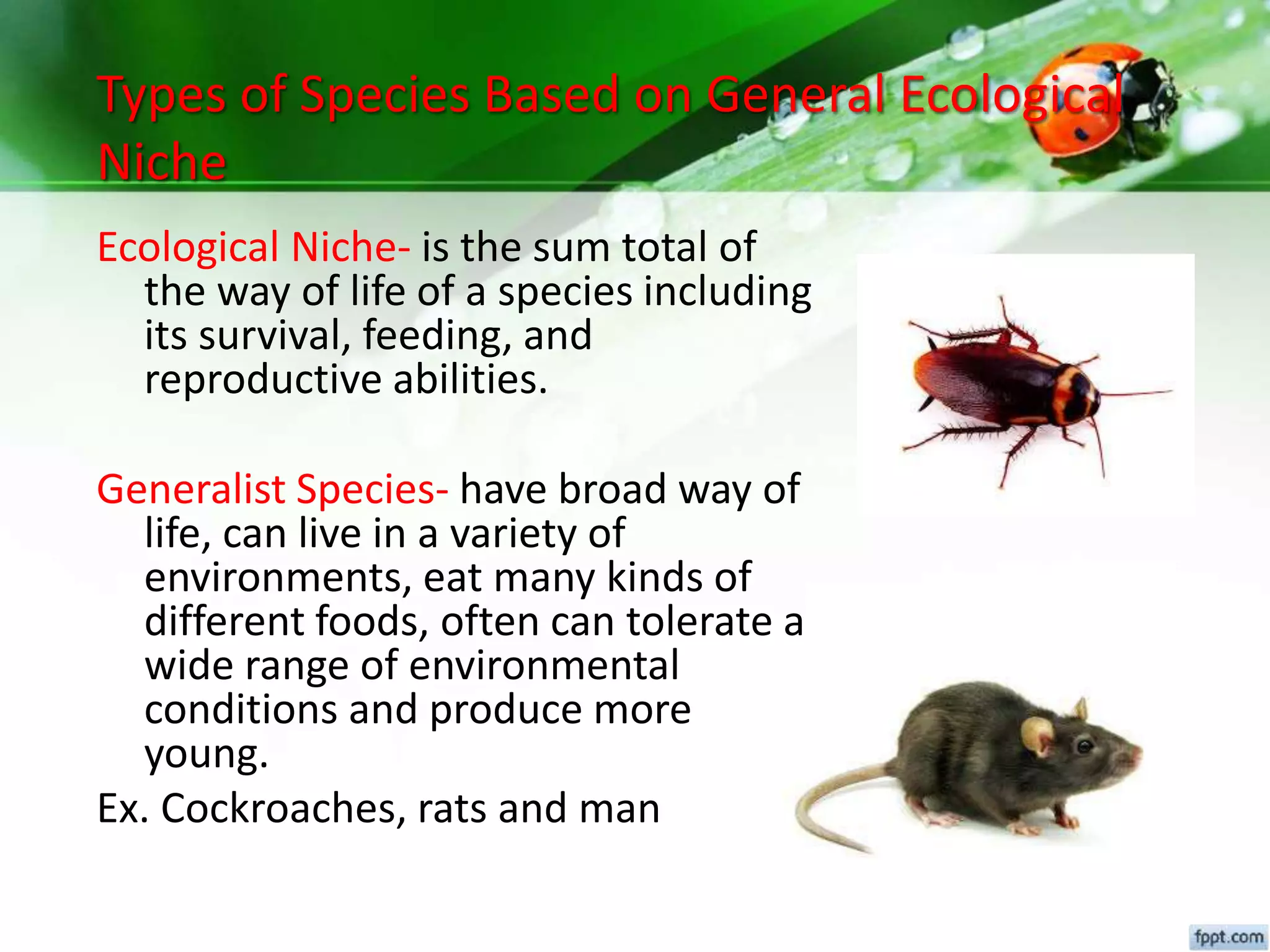 Species diversity | PPTX