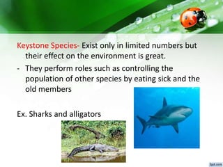 Species diversity | PPTX