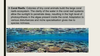 Species diversity (PLANT ECOLOGY) | PPTX | Environment | Science