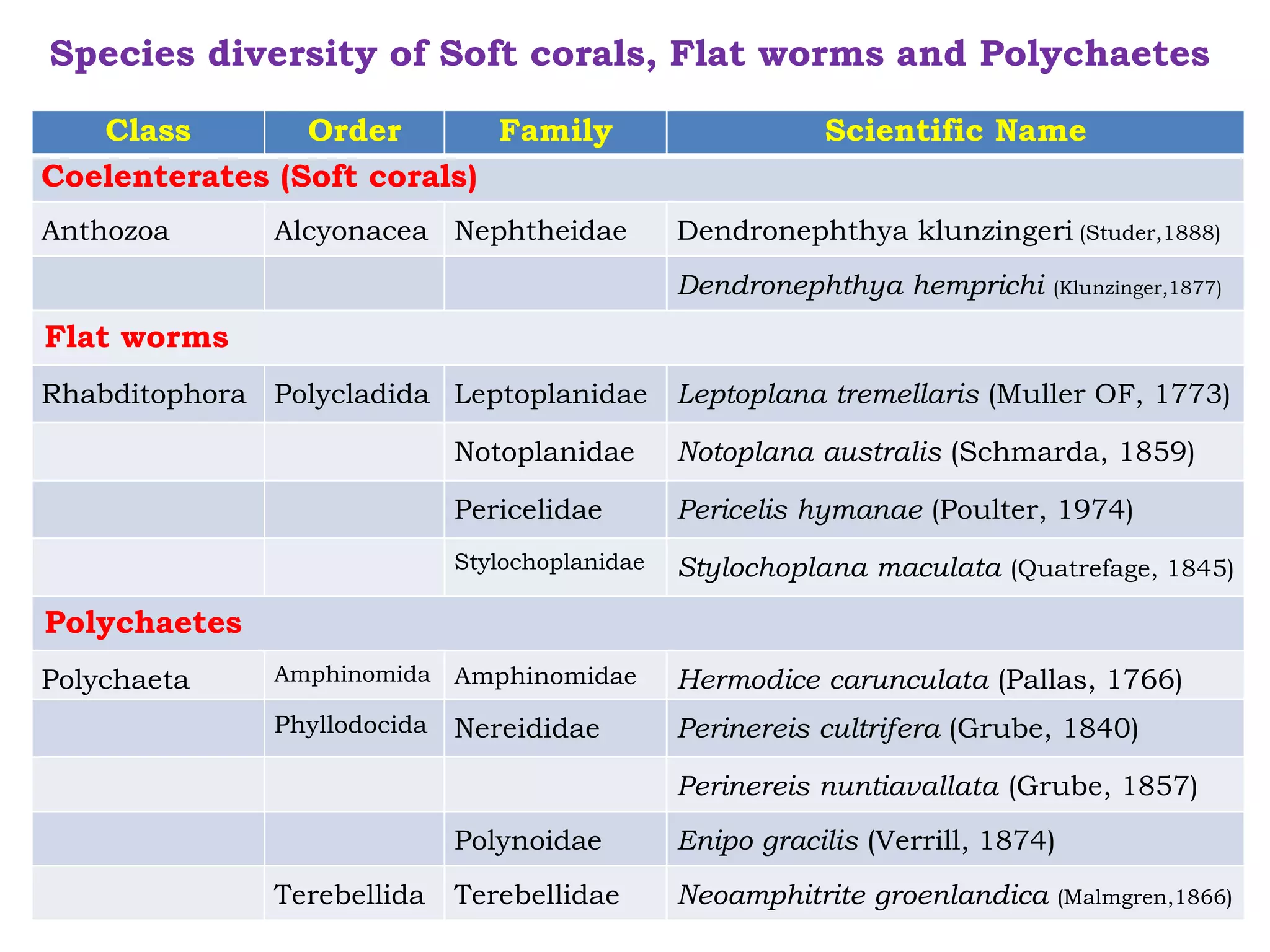 Species diversity of Soft corals, Flat worms & Polychaetes at Uran ...