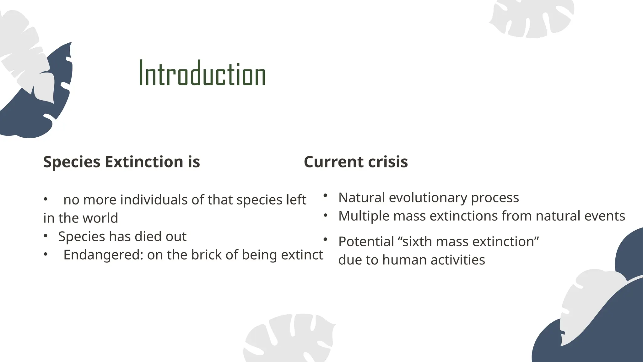 Species Extinction - What's driving species to extinction? | PPT