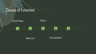 Species Extinction - What's driving species to extinction? | PPTX