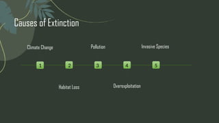 Species Extinction - What's driving species to extinction? | PPTX