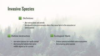 Species Extinction - What's driving species to extinction? | PPTX