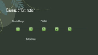 Species Extinction - What's driving species to extinction? | PPTX