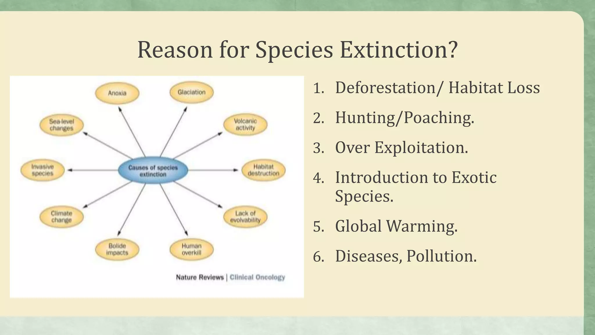 Species Extinction- Reasons and Effects? | PPTX