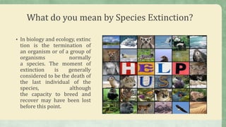 Species Extinction- Reasons and Effects? | PPTX