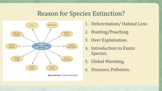 Species Extinction- Reasons and Effects? | PPTX