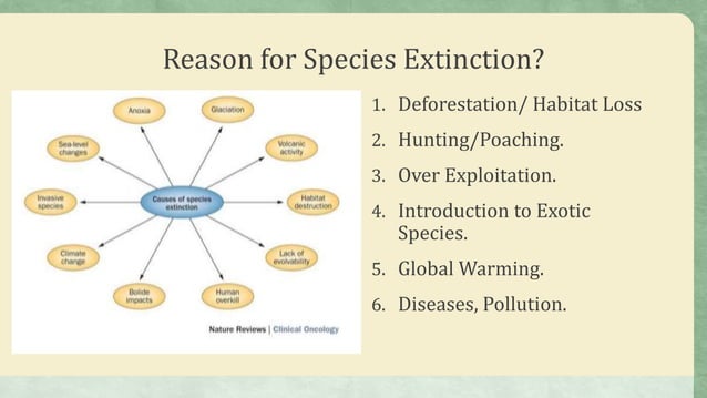 Species Extinction- Reasons and Effects? | PPTX | Environment | Science