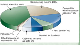 Species Extinction- Reasons and Effects? | PPTX