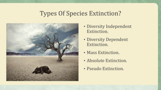 Species Extinction- Reasons and Effects? | PPTX