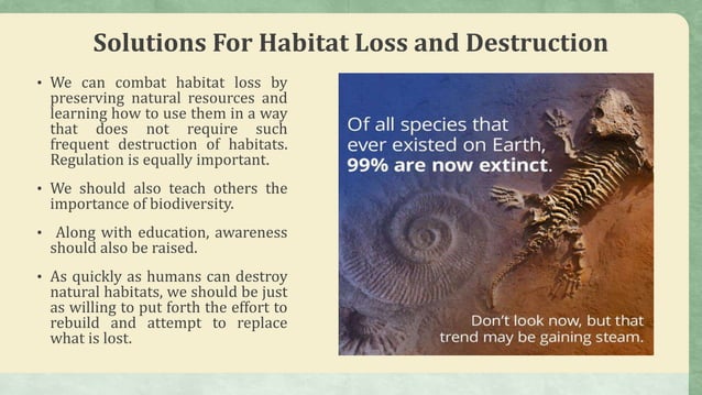 Species Extinction- Reasons and Effects? | PPT