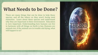 Species Extinction- Reasons and Effects? | PPTX