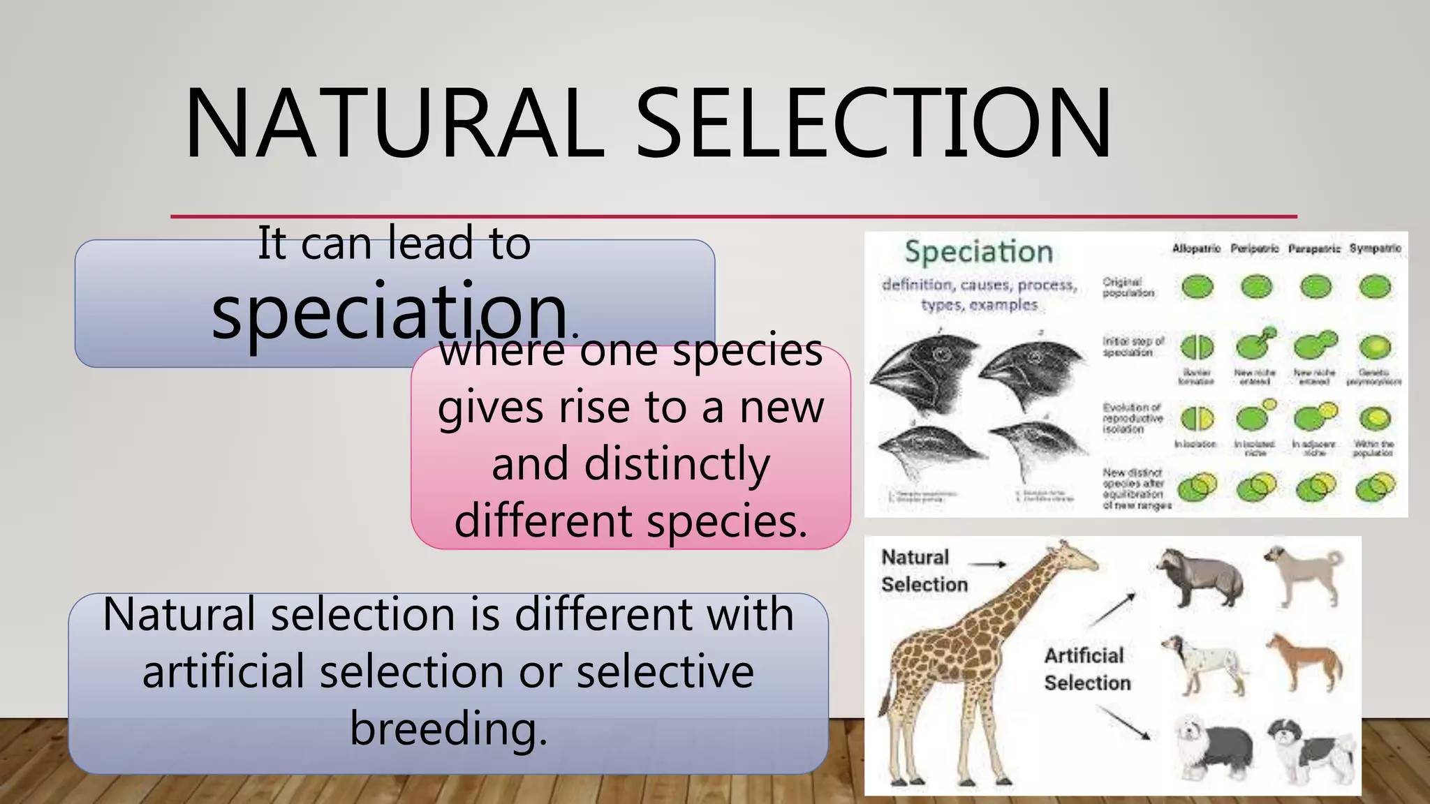 Species extinction, and Natural Selection | PPTX