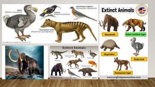 Species extinction, and Natural Selection | PPTX
