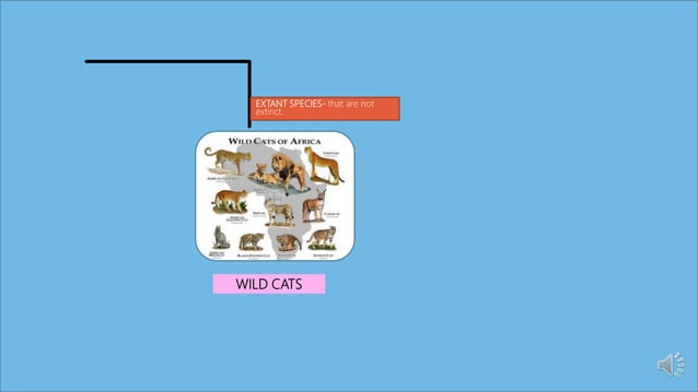 Species extinction | PPTX | Environment | Science