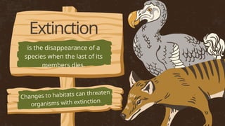 PPT Presentation-Causes of Species Extinction | PPT