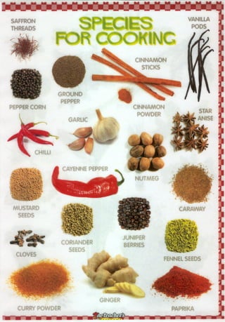 Species for cooking | PDF