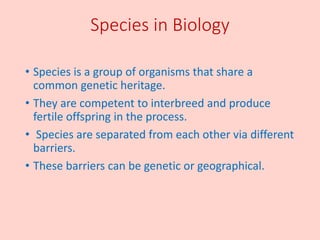 Species Concept.pptx