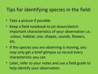 ONTAP - Species Identification | PPT