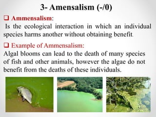 Species interaction between organism. | PPTX