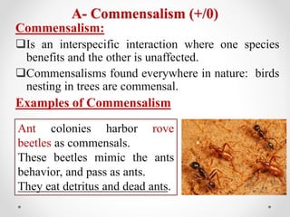 Species interaction between organism. | PPTX