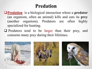 Species interaction between organism. | PPTX