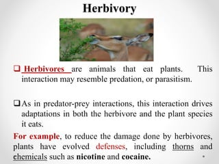 Species interaction between organism. | PPTX
