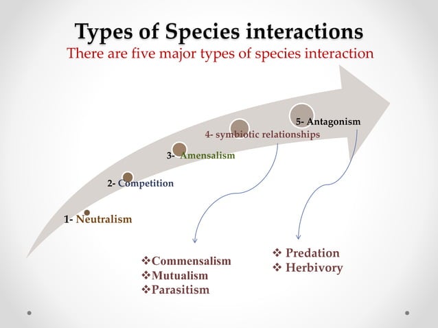Species interaction between organism. | PPTX | Gardening | Home & Garden
