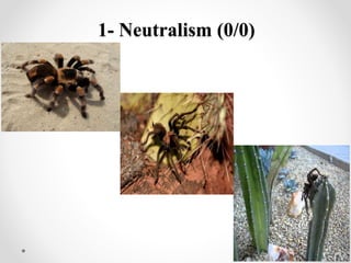 Species interaction between organism. | PPTX