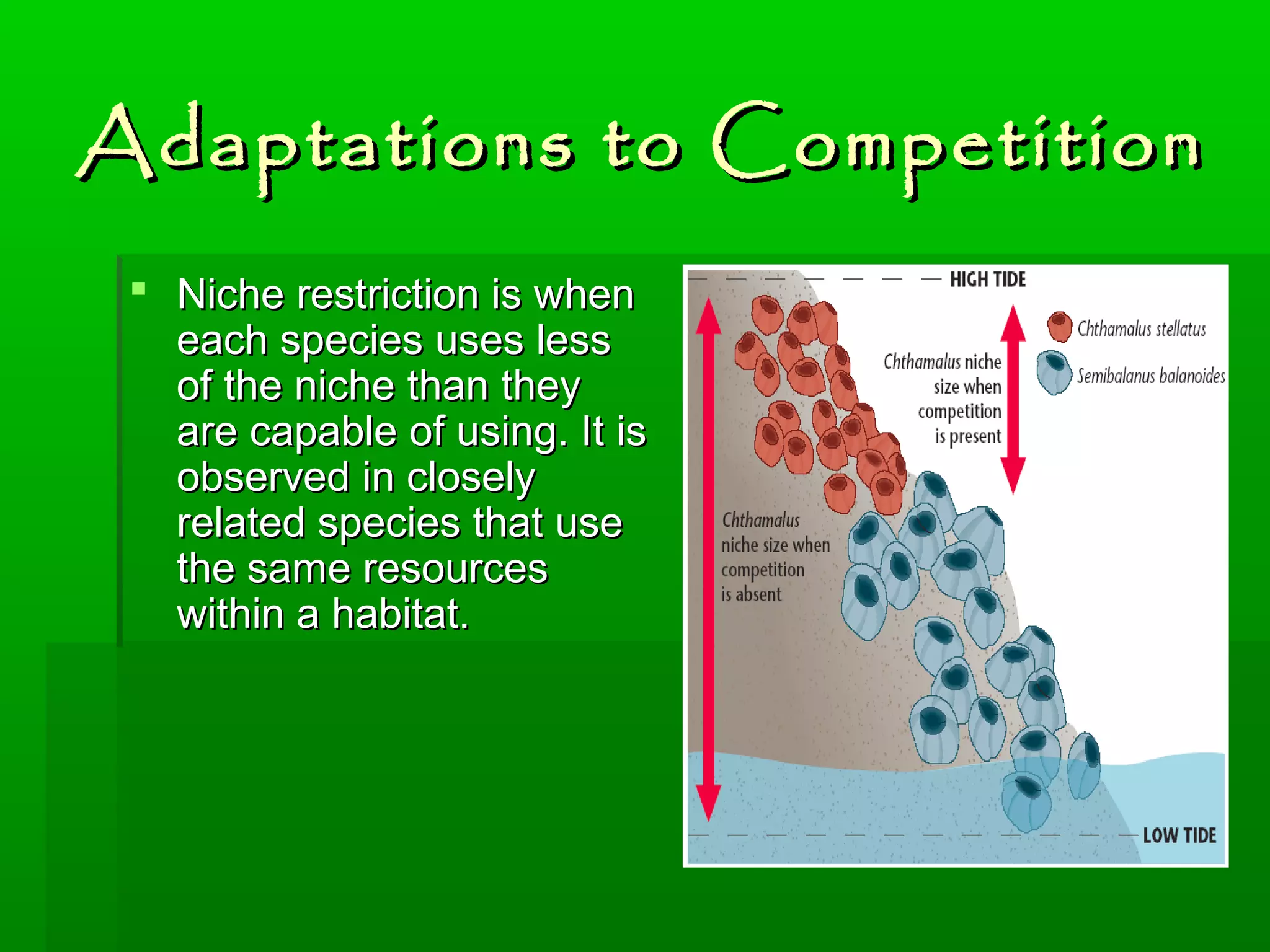 Species Interactions | PPT