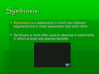 Species Interactions | PPT