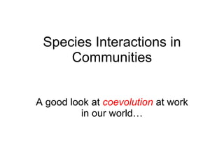 Species Interactions | PPT