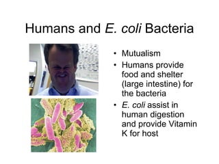 Species Interactions | PPT