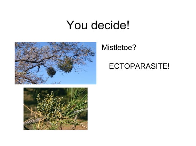 Species Interactions | PPT