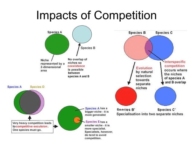 Species Interactions | PPT
