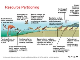 Species Interactions | PPT