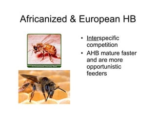 Species Interactions | PPT