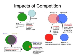 Species interactions | PPT