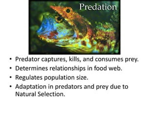 Species interactions | PPTX
