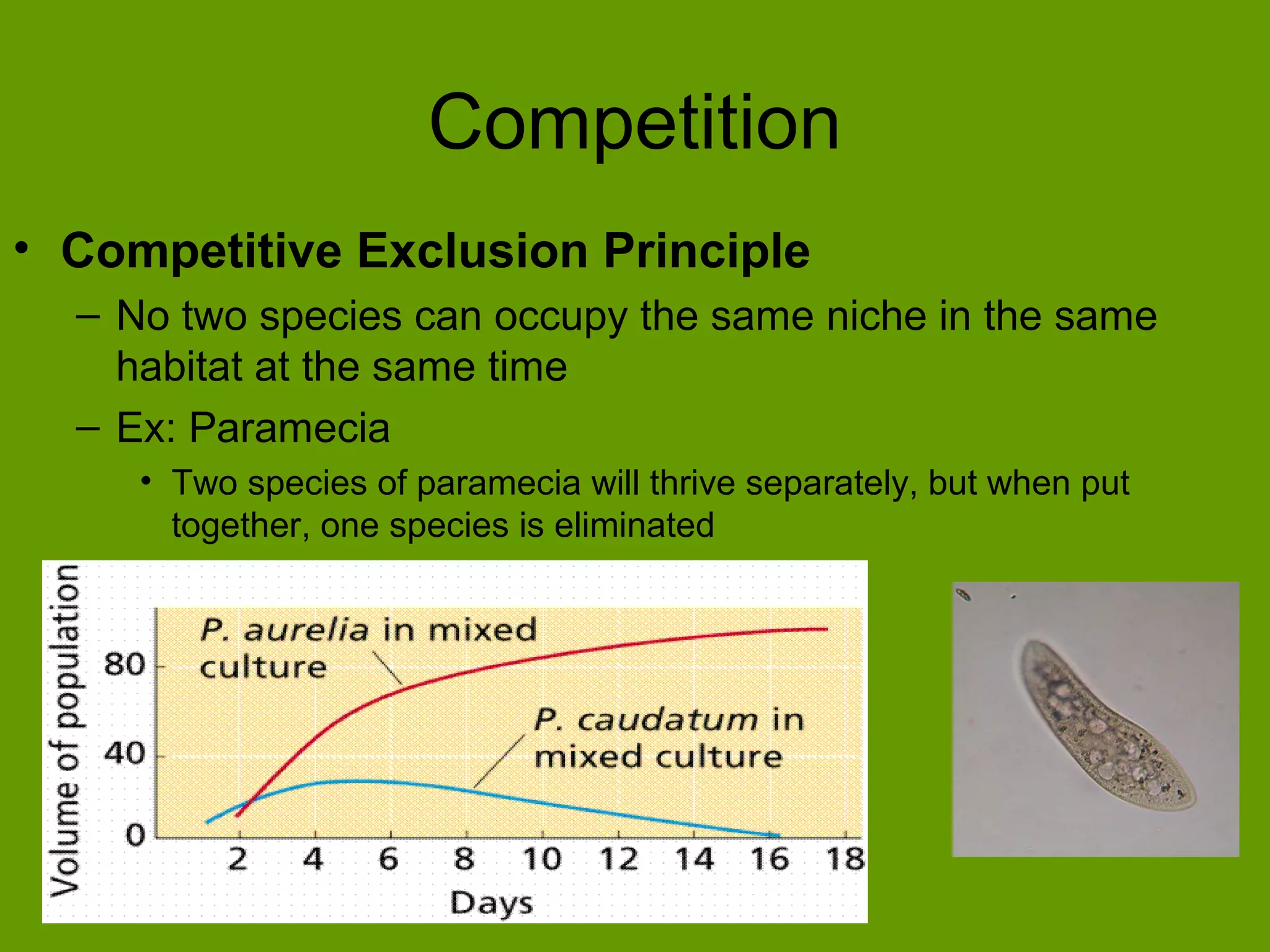 Ecology: Symbiotic Relationships | PPT