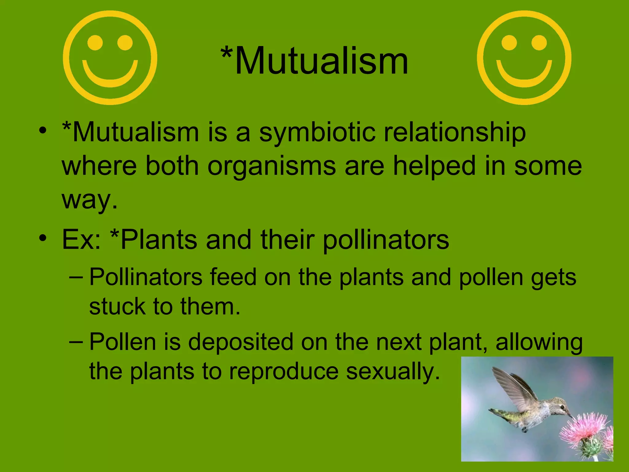 Ecology: Symbiotic Relationships | PPT