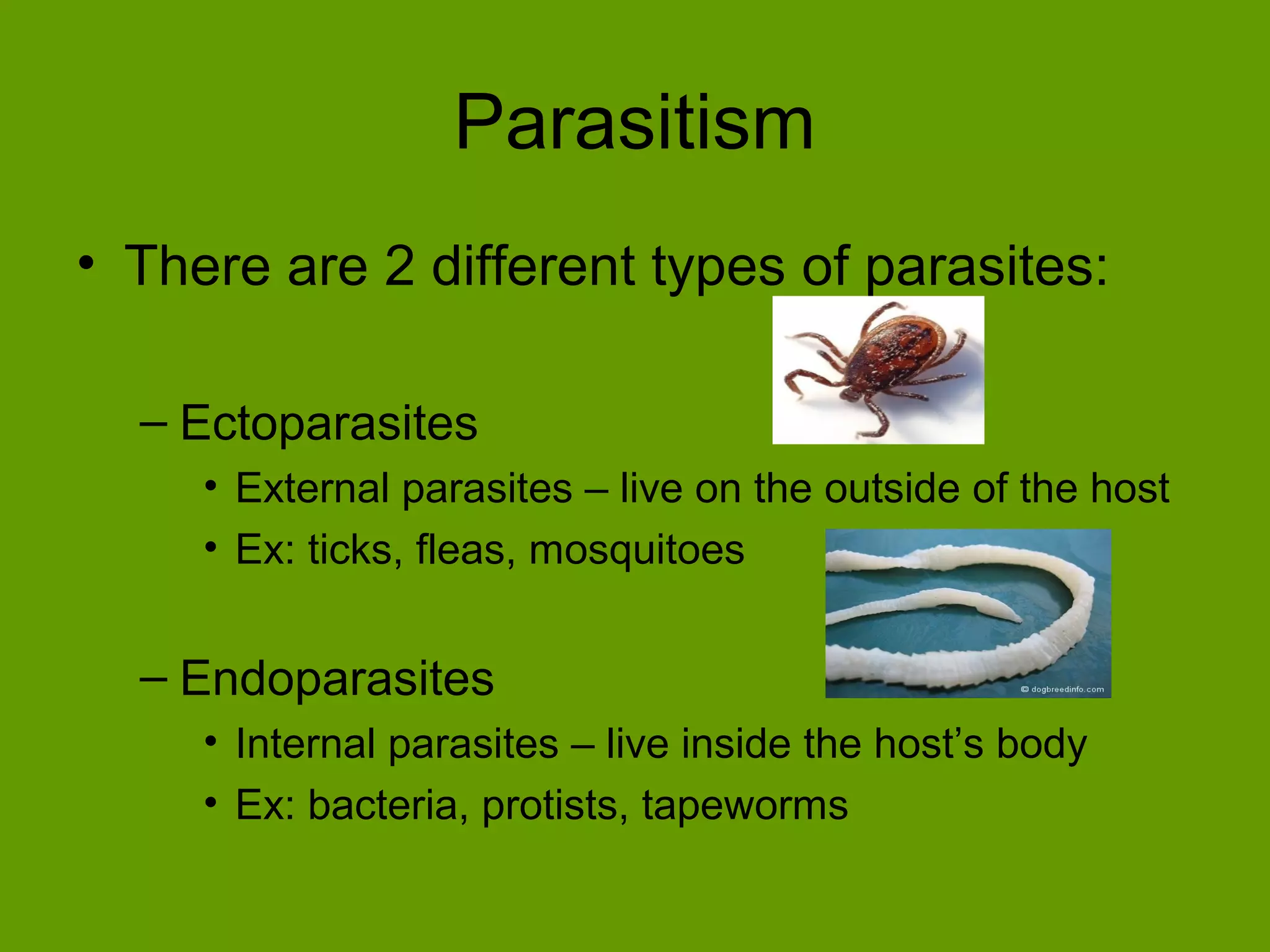 Ecology: Symbiotic Relationships | PPT