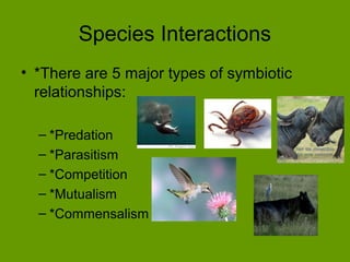 Ecology: Symbiotic Relationships | PPT