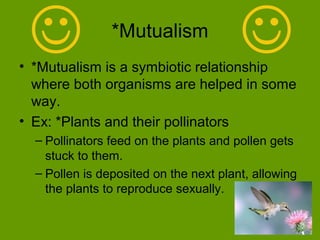 Mutualism In Ecosystem