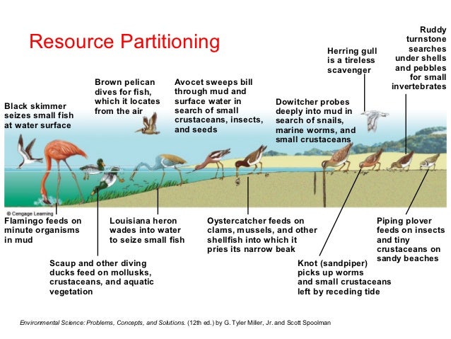 Species interactions