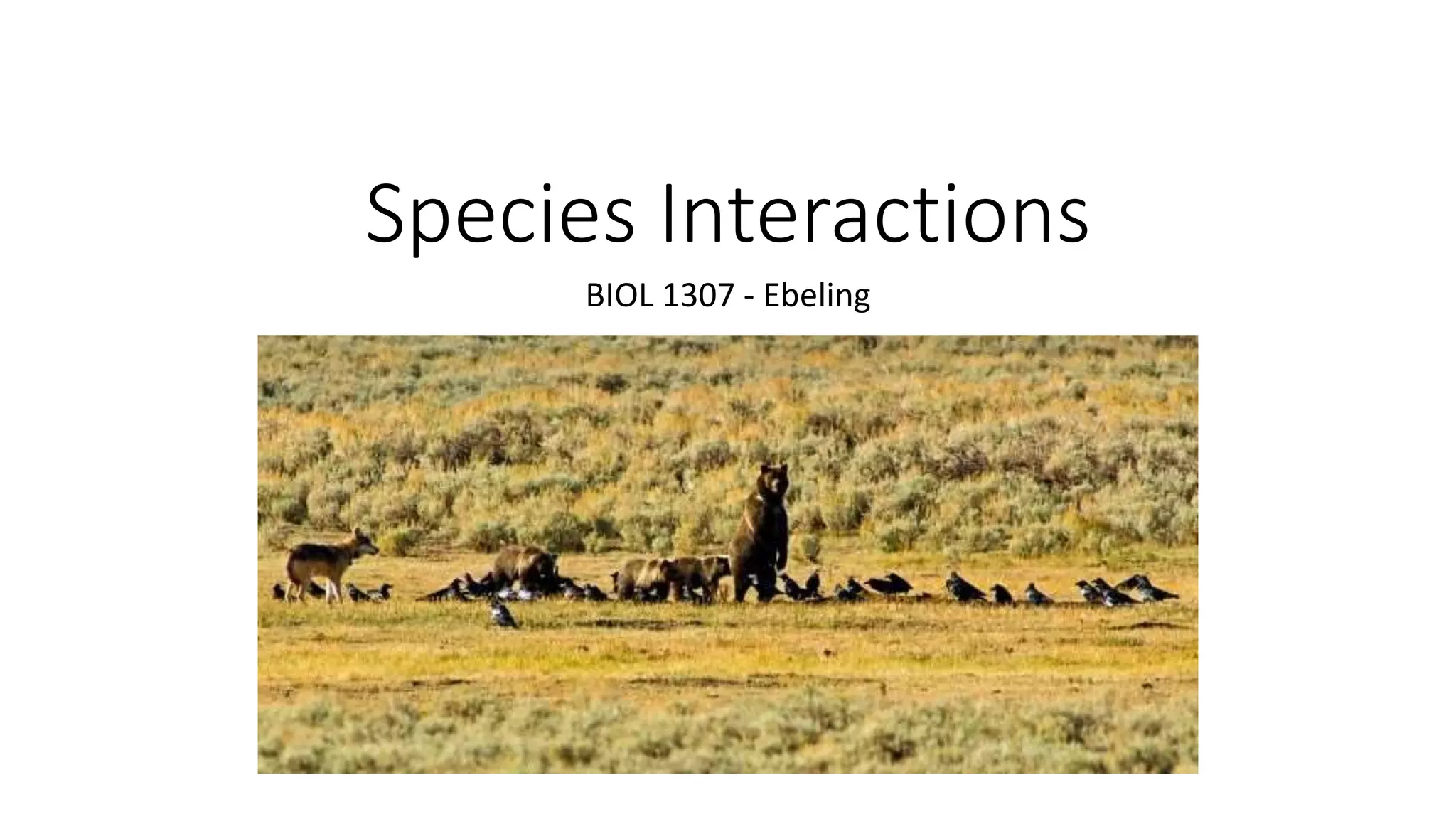 Species interactions | PPTX