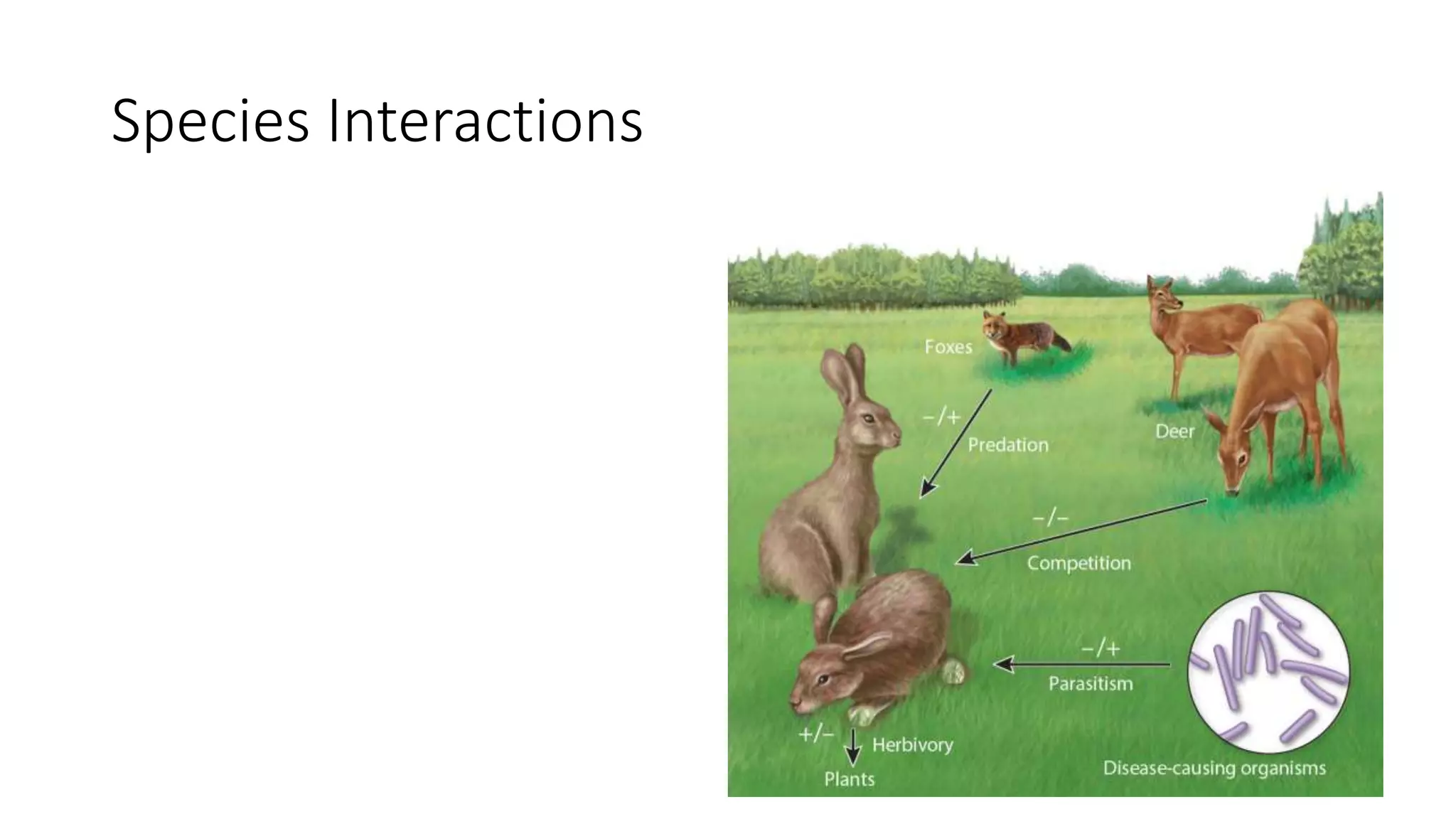 Species interactions | PPT | Free Download