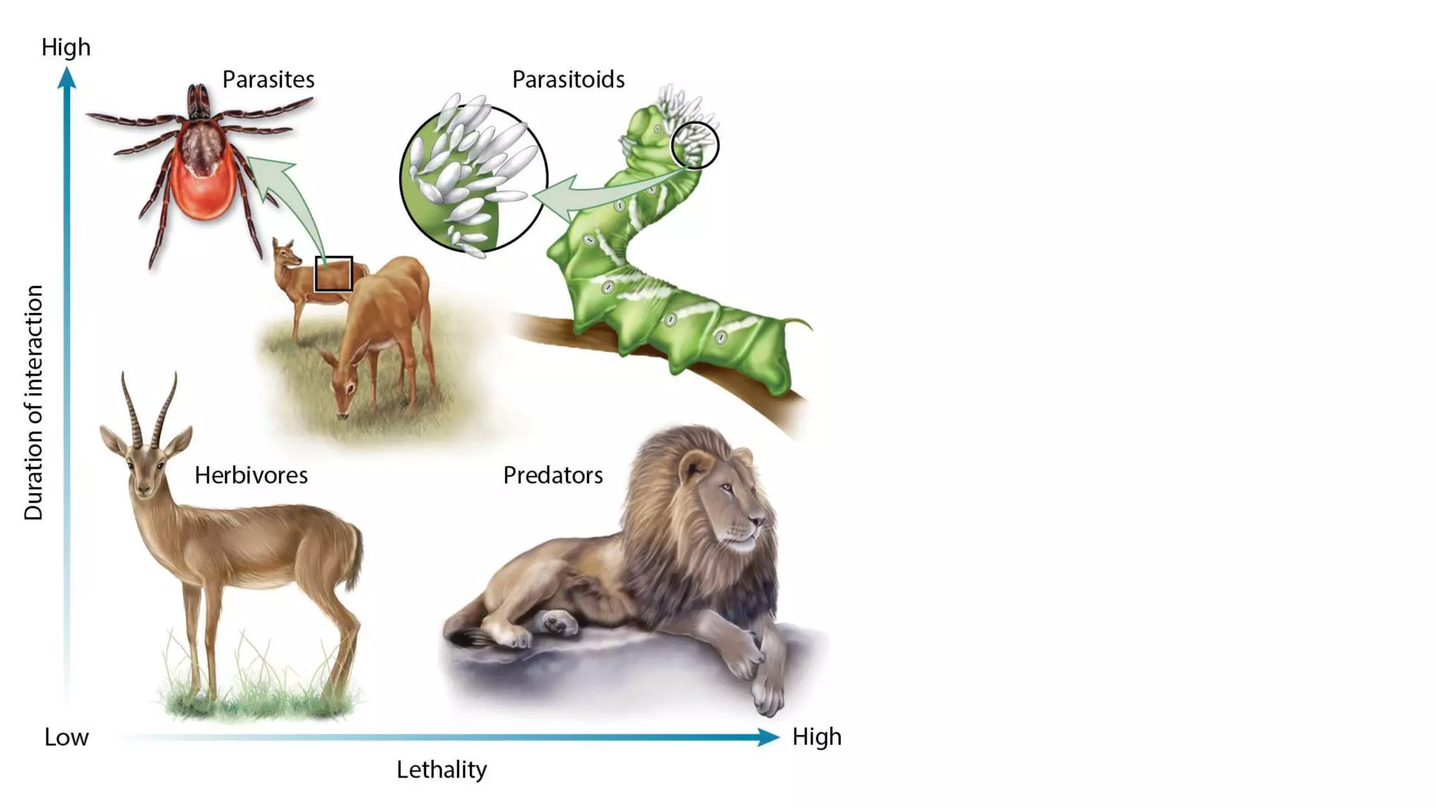 Species interactions | PPT